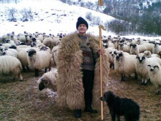Η ΓΚΛΙΤΣΑ ΤΟΥ ΤΣΕΛΙΓΚΑ!.. - https://nasostsaganelis.gr